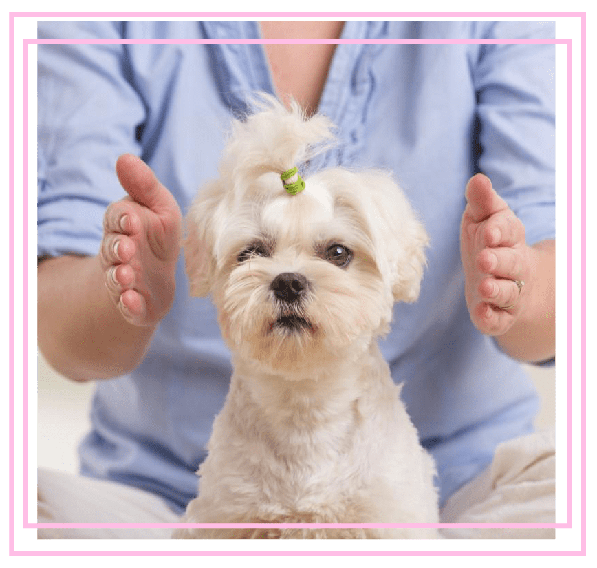 MARISOL RUEDA - Marisol Rueda